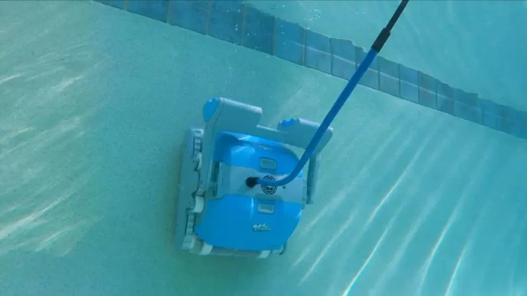 Dolphin M400 Review - 2024 Dolphin Reviews