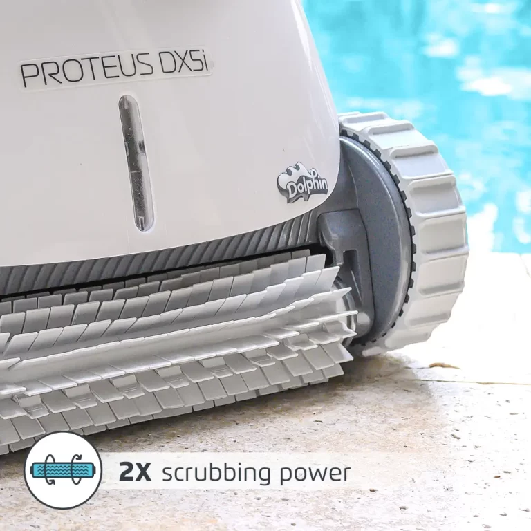 Dolphin Proteus DX5i Pool Robot Product Review - 2024 Dolphin Reviews