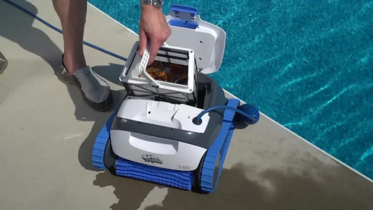 Dolphin S100 Review - 2024 Dolphin Reviews