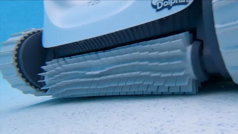 Dolphin T25 Review - 2024 Dolphin Reviews