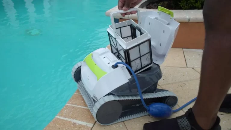 Dolphin T25 Review - 2024 Dolphin Reviews