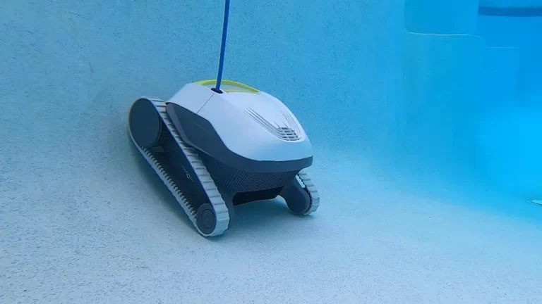 Dolphin T25 Review - 2024 Dolphin Reviews