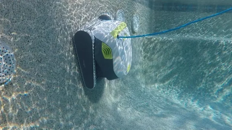 Dolphin T45 Review - 2024 Dolphin Reviews